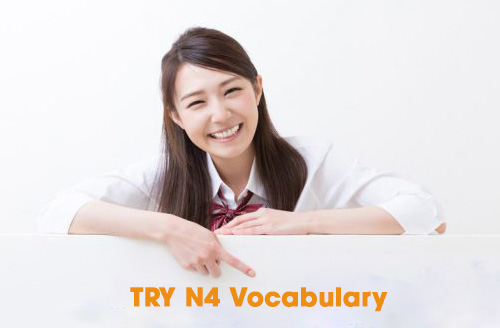 TRY N4 Vocabulary