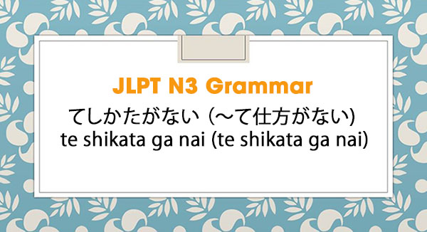 JLPT N3 Grammar: てしかたがない （～て仕方がない) te shikata ga nai (te shikata ga nai)