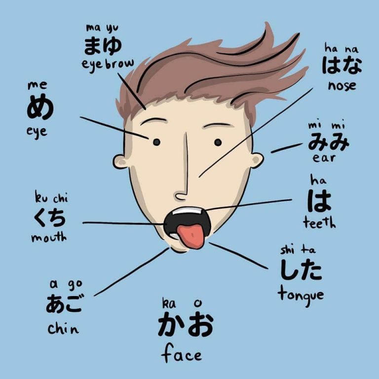 Learn Japanese Through Pictures - Part 1