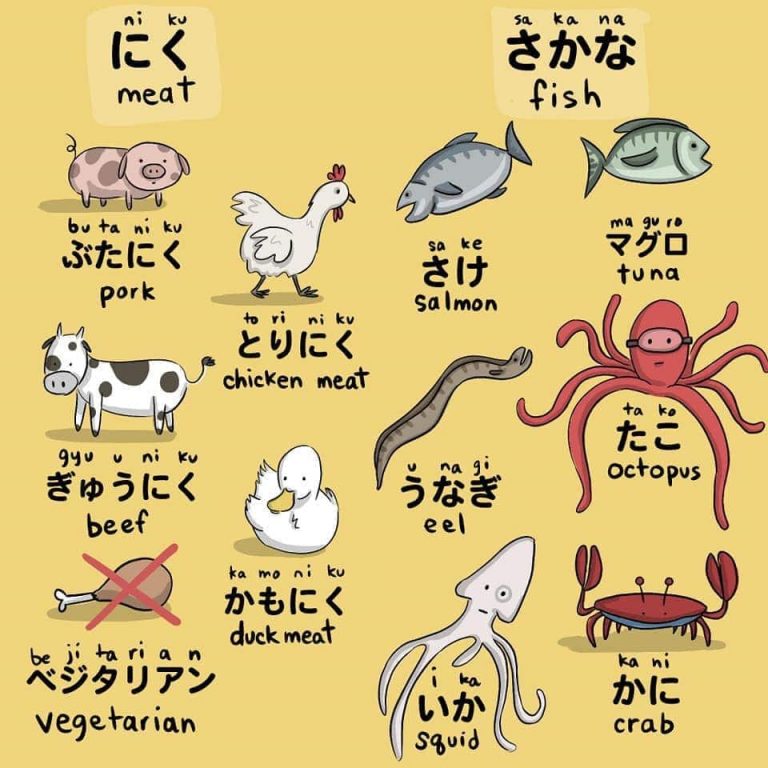 Learn Japanese Through Pictures - Part 2