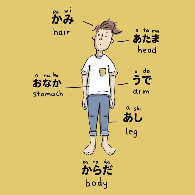 Learn Japanese Through Pictures - Part 4
