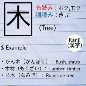40 Kanji You Need to Know to Pass the JLPT N5