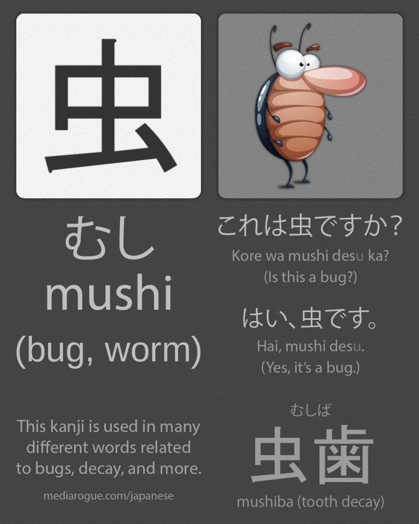 Learn N5-N4 Kanji relating to animals, nature