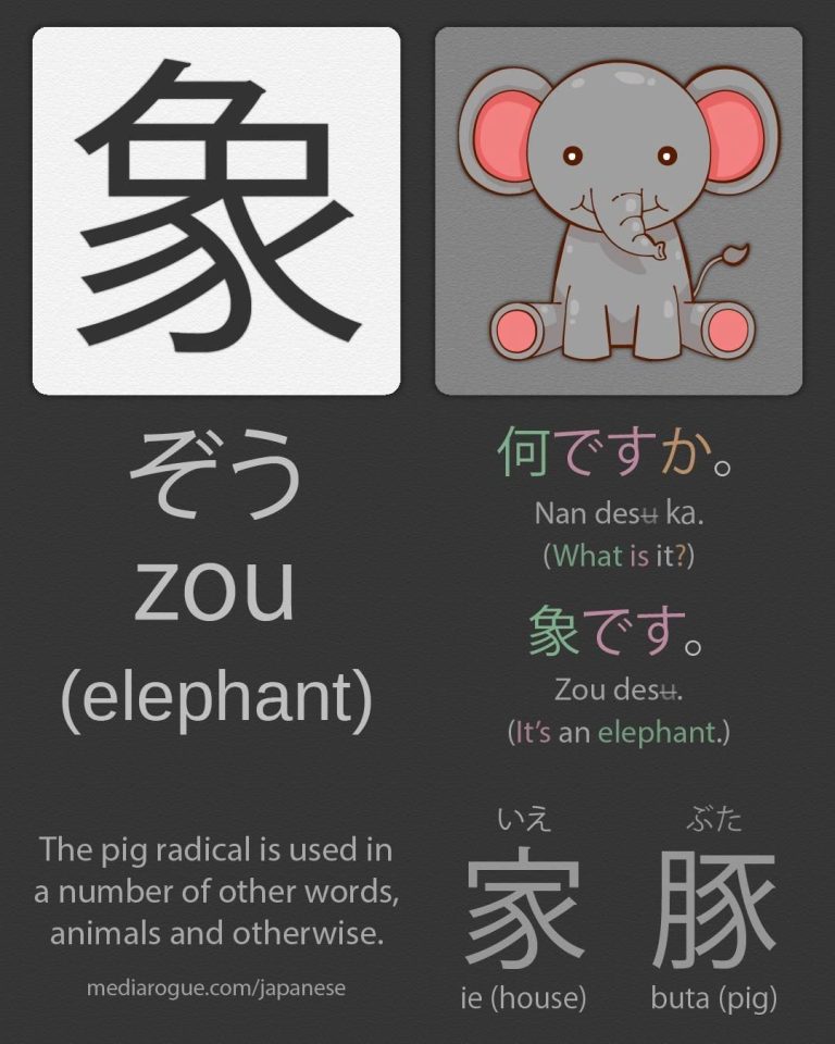 Learn N5-N4 Kanji relating to animals, nature