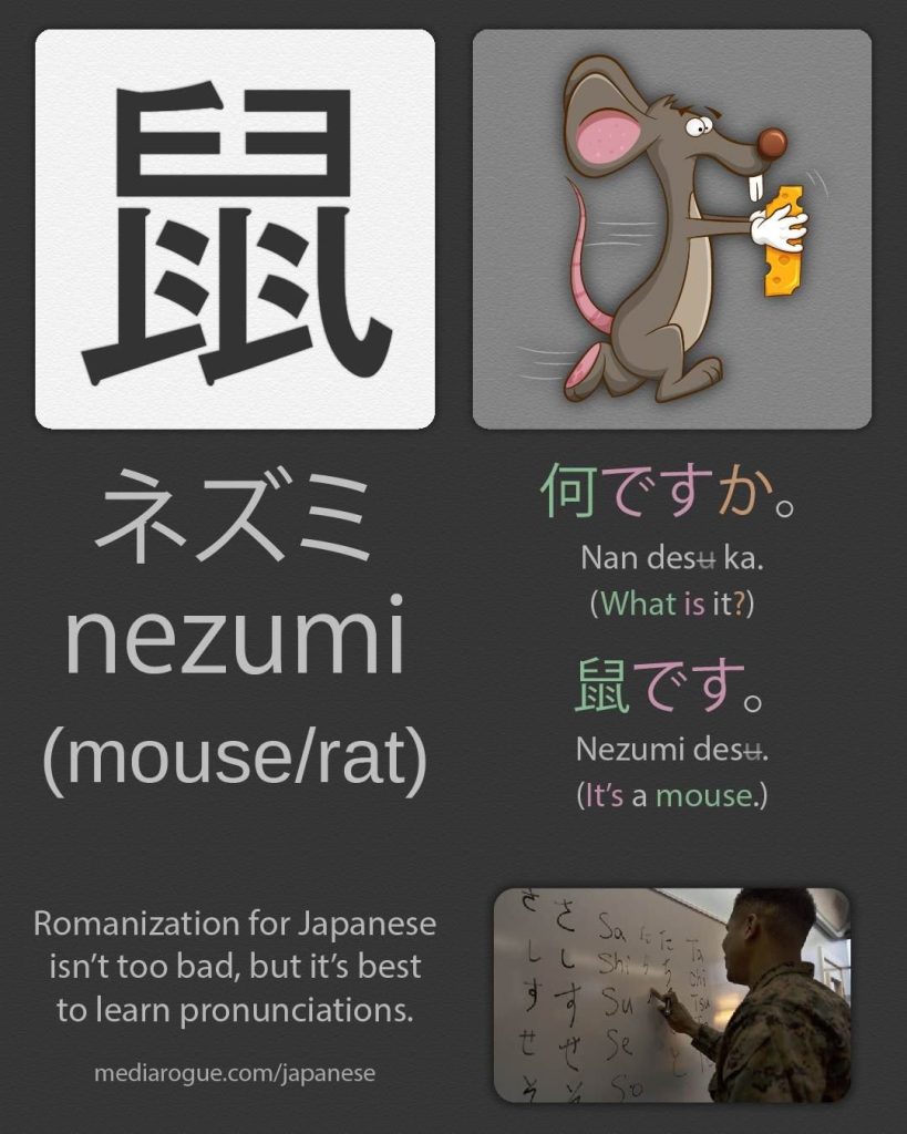 Learn N5-N4 Kanji relating to animals, nature