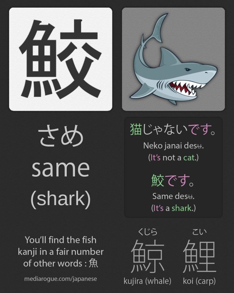 Learn N5-N4 Kanji relating to animals, nature