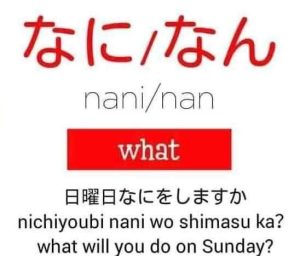 Japanese Question Words