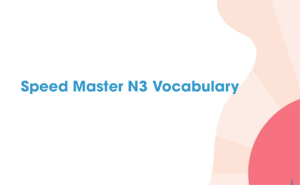 Speed Master N3 Vocabulary (Lessons 1-24)