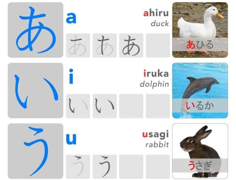 Learn Hiragana with vocabulary PDF